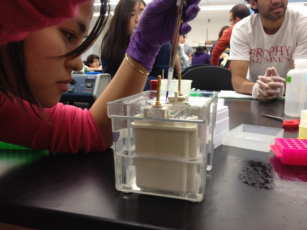 The Kaplan Lab – The Center for Cellular Excellence