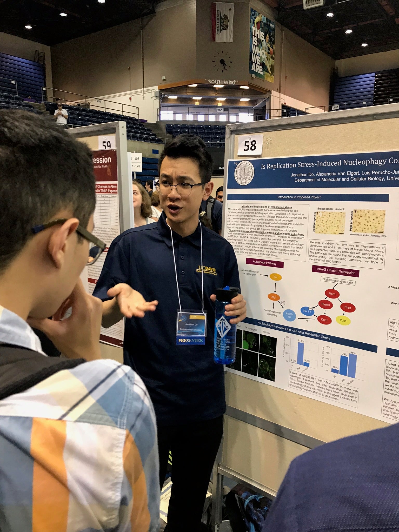 The Kaplan Lab – The Center for Cellular Excellence